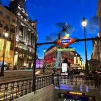 Milanuncios - FLORES Y PLANTAS EN CASA. Violet Stevens