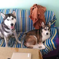 Milanuncios - Mini cadena JVC CA-UXGP5