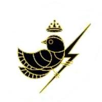 Milanuncios - Pollos araucana